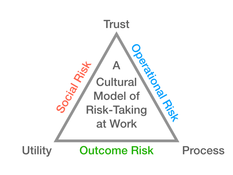 A Cultural Model of Taking Risks at Work – Noah Fang